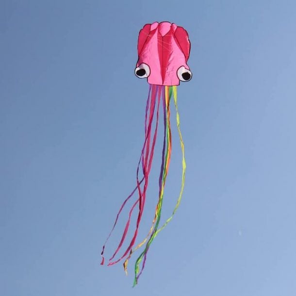 You Can Get Your Kids A Giant Octopus Kite and It's The Coolest Thing ...