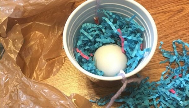 30 Hands-on Dr Seuss Inspired Science Activities for Preschoolers ...