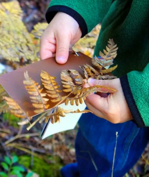 25 Super Active Outdoor Activities for Kids | Kids Activities Blog