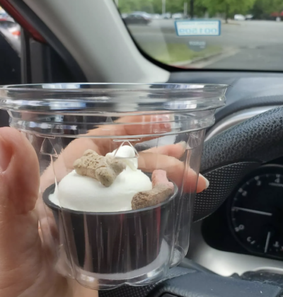 Dairy Queen Has A Secret Pup Cup That Comes Topped with A Dog Treat ...