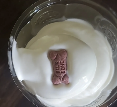 Dairy Queen Has A Secret Pup Cup That Comes Topped with A Dog Treat ...