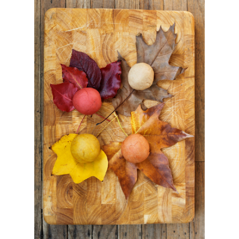 15 Fantastic Fall Playdough Recipes You Can Make | Kids Activities Blog