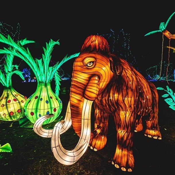 A Giant Animal Lantern Festival Exists and It Was Made For Animal ...
