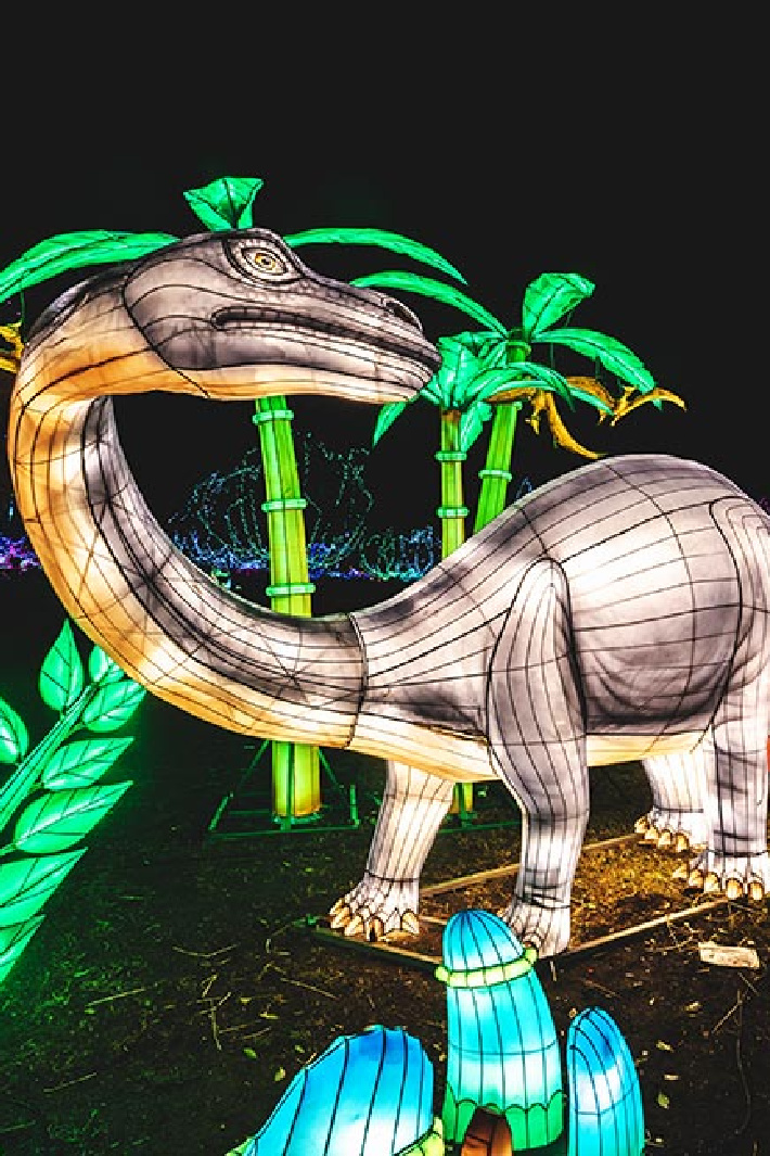 A Giant Animal Lantern Festival Exists and It Was Made For Animal ...