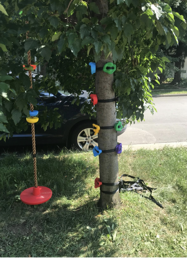You Can Get Tree Climbing Holds To Help Your Kids Climb Trees Kids ...
