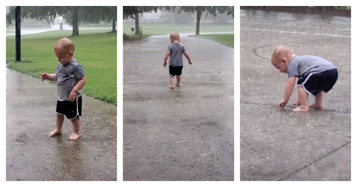 Toddler's Reaction to Walking in The Rain Is Priceless [Video] Kids ...