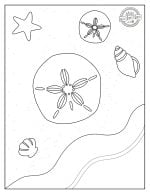 Best Ocean Sand Dollar Coloring Pages | Kids Activities Blog