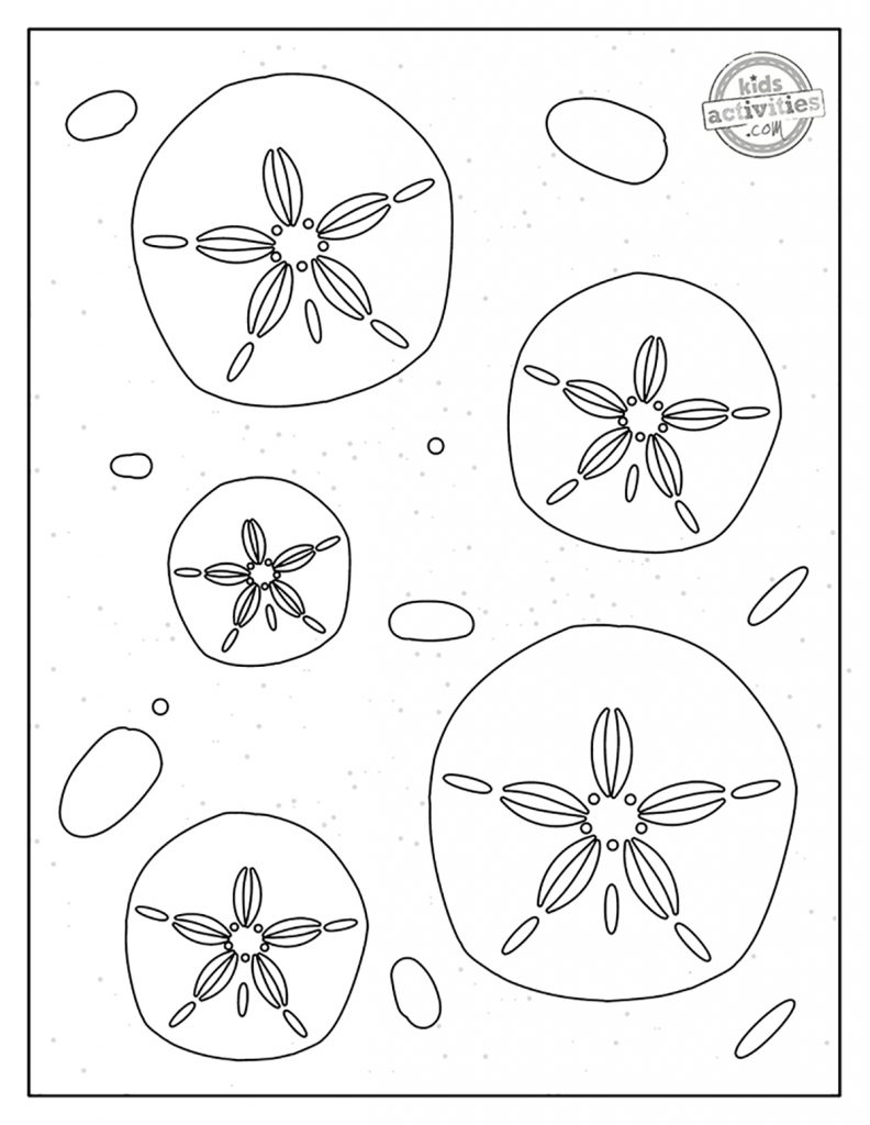 Best Ocean Sand Dollar Coloring Pages Kids Activities Blog Best Ocean Sand Dollar Coloring Pages Kids Activities Blog