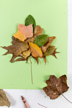 Easy Preschool Tree Craft Using Fall Leaves • Kids Activities Blog