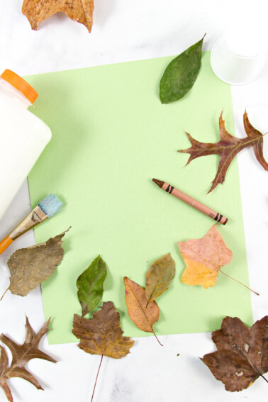 Easy Preschool Tree Craft Using Fall Leaves • Kids Activities Blog