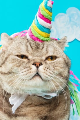 1000+ Fun Elementary Age Activities for Kids | Kids Activities Blog