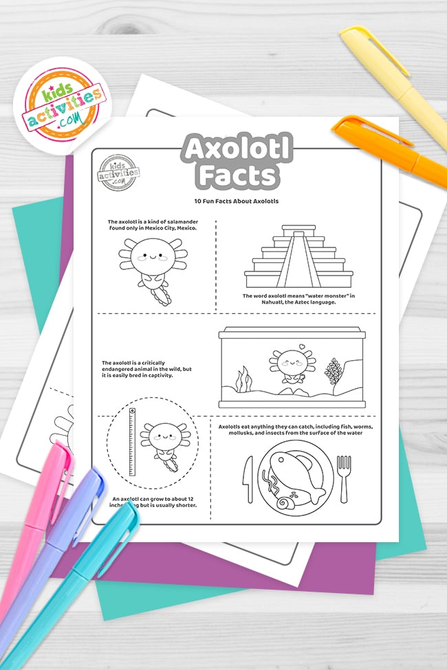 Axolotl Facts For Kids Axolotls Information Animal