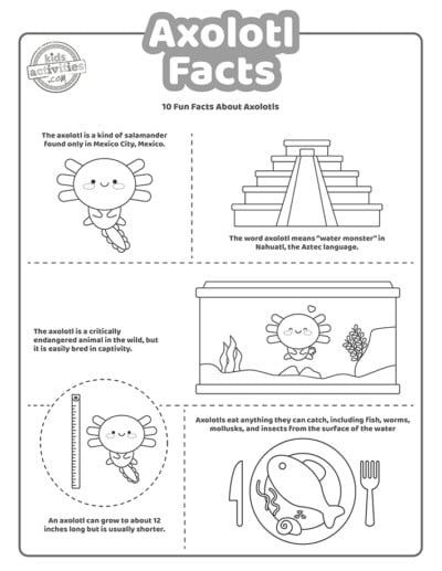 Fun Facts About Axolotl that Kids Can Print | Kids Activities Blog