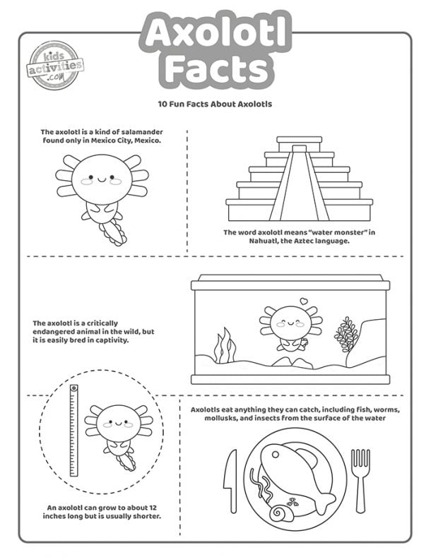 Fun Facts About Axolotl that Kids Can Print | Kids Activities Blog
