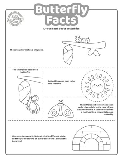 Fun Butterfly Facts Coloring Pages | Kids Activities Blog