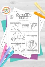 10+ Armadillo Facts Fun For Kids – ParentingBest.com