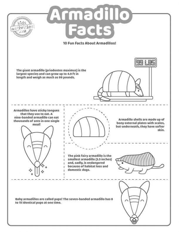 10+ Armadillo Facts Fun For Kids | Kids Activities Blog