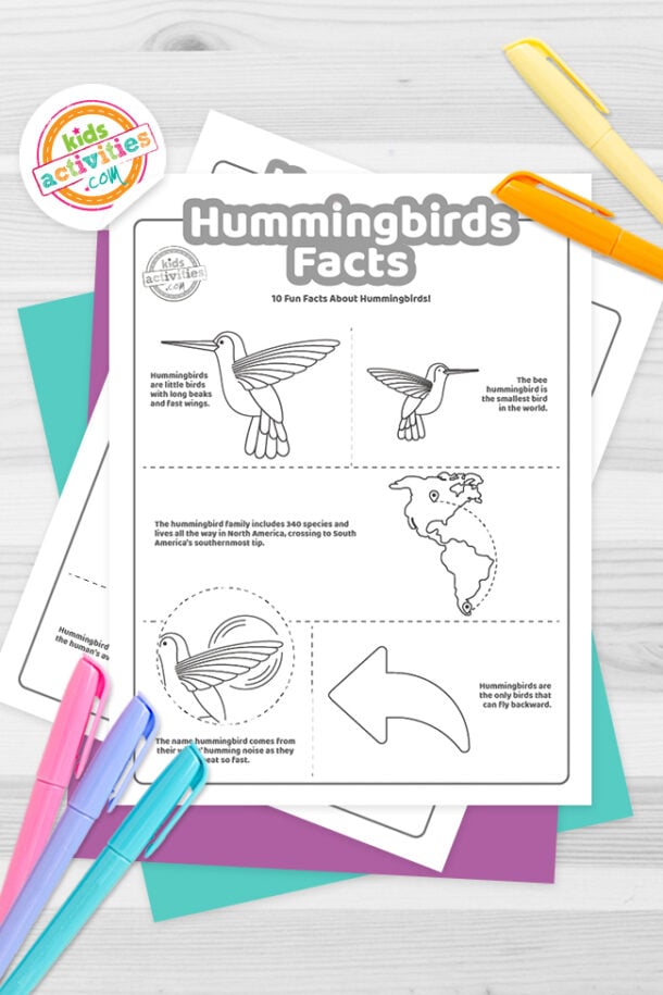 Fun Facts About Hummingbirds for Kids to Print |Kids Activities Blog