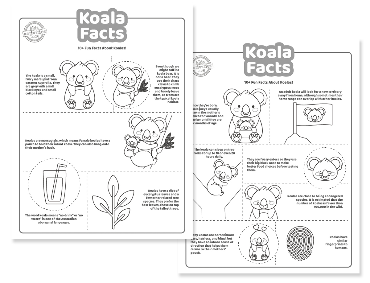Fun Koala Facts For Kids Print Play Kids Activities Blog Fun Koala Facts For Kids Print Play Kids Activities Blog