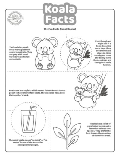 Fun Koala Facts For Kids - Print & Play! | Kids Activities Blog