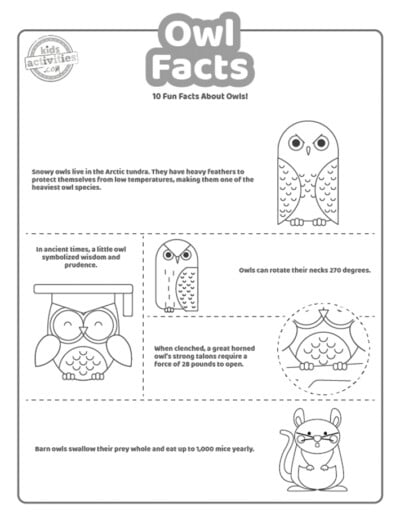 Fun Owl Facts for Kids to Print & Play | Kids Activities Blog