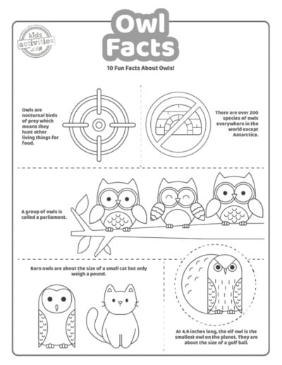 Fun Owl Facts for Kids to Print & Play | Kids Activities Blog