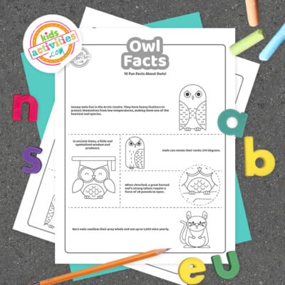 Fun Owl Facts for Kids to Print & Play | Kids Activities Blog