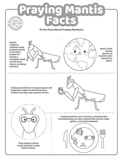 Printable Praying Mantis Facts For Kids | Kids Activities Blog