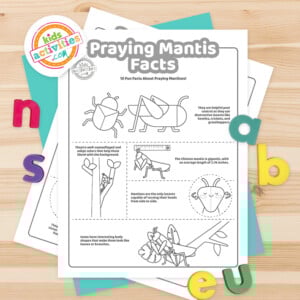 Printable Praying Mantis Facts For Kids | Kids Activities Blog