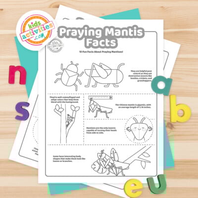 Printable Praying Mantis Facts For Kids | Kids Activities Blog