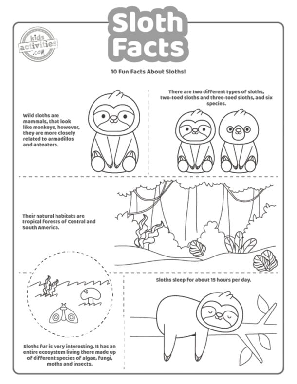 Fun Facts about Sloths for Kids You Can Print | Kids Activities Blog