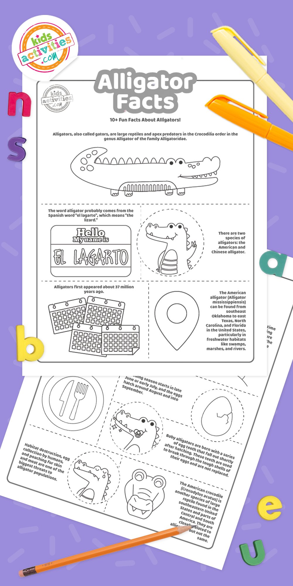 Fun Alligator Facts Coloring Pages – ParentingBest.com