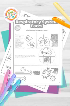 Fun Respiratory System For Kids To Print & Learn | Kids Activities Blog