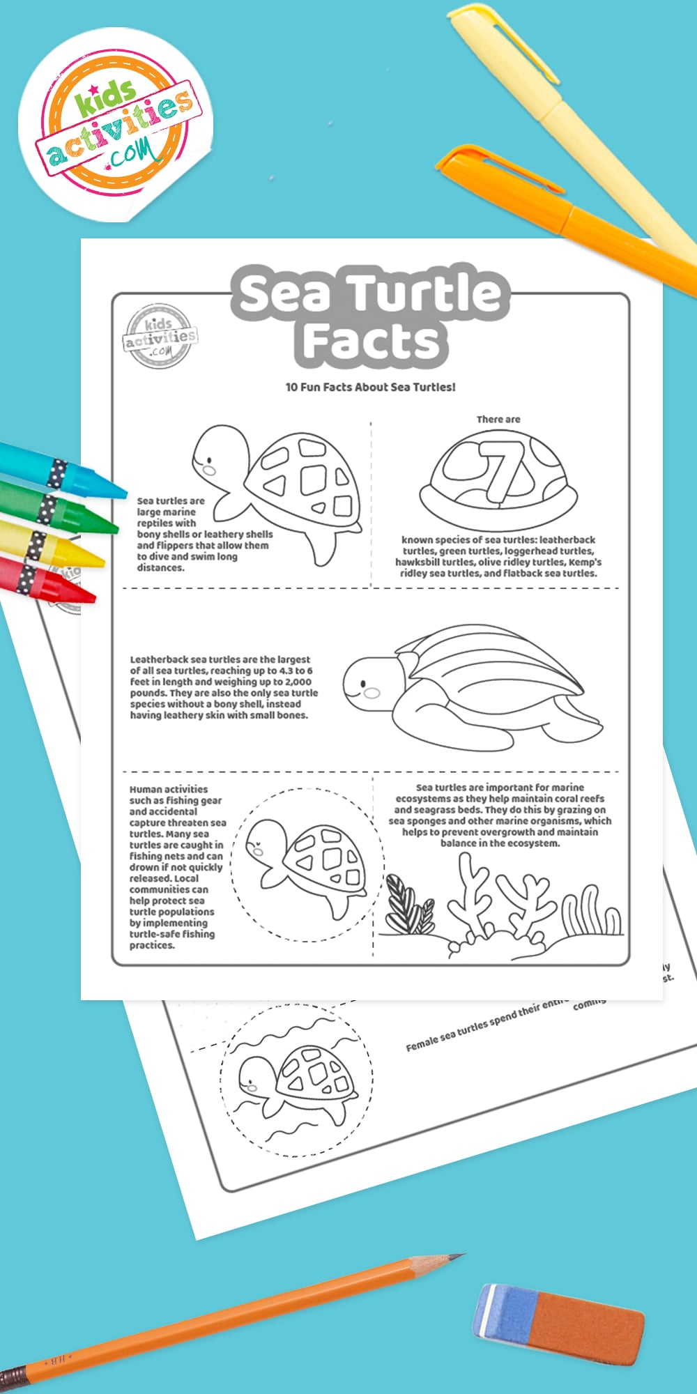Cute Sea Turtle Facts Coloring Pages – ParentingBest.com