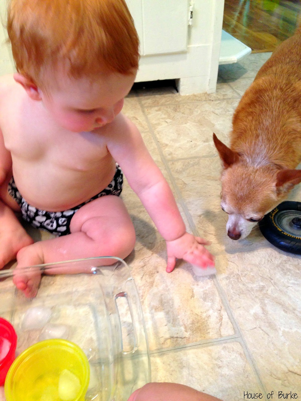 15 Fun Activities To Do With Baby Kids Activities Blog 15-fun-activities-to-do-with-baby-kids-activities-blog