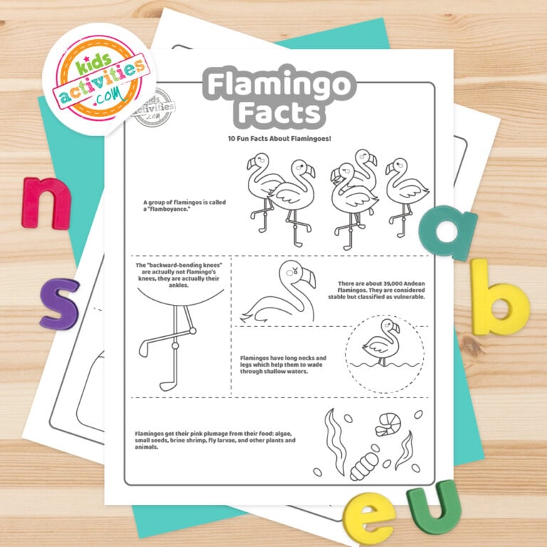 Flamboyant Fun Facts About Flamingos for Kids | Kids Activities Blog