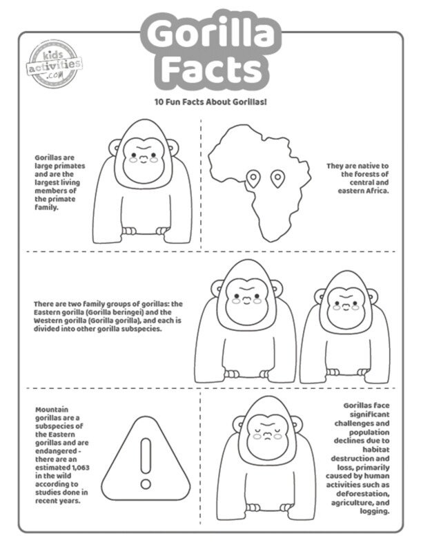 Interesting Gorilla Facts for Kids to Print & Play | Kids Activities Blog