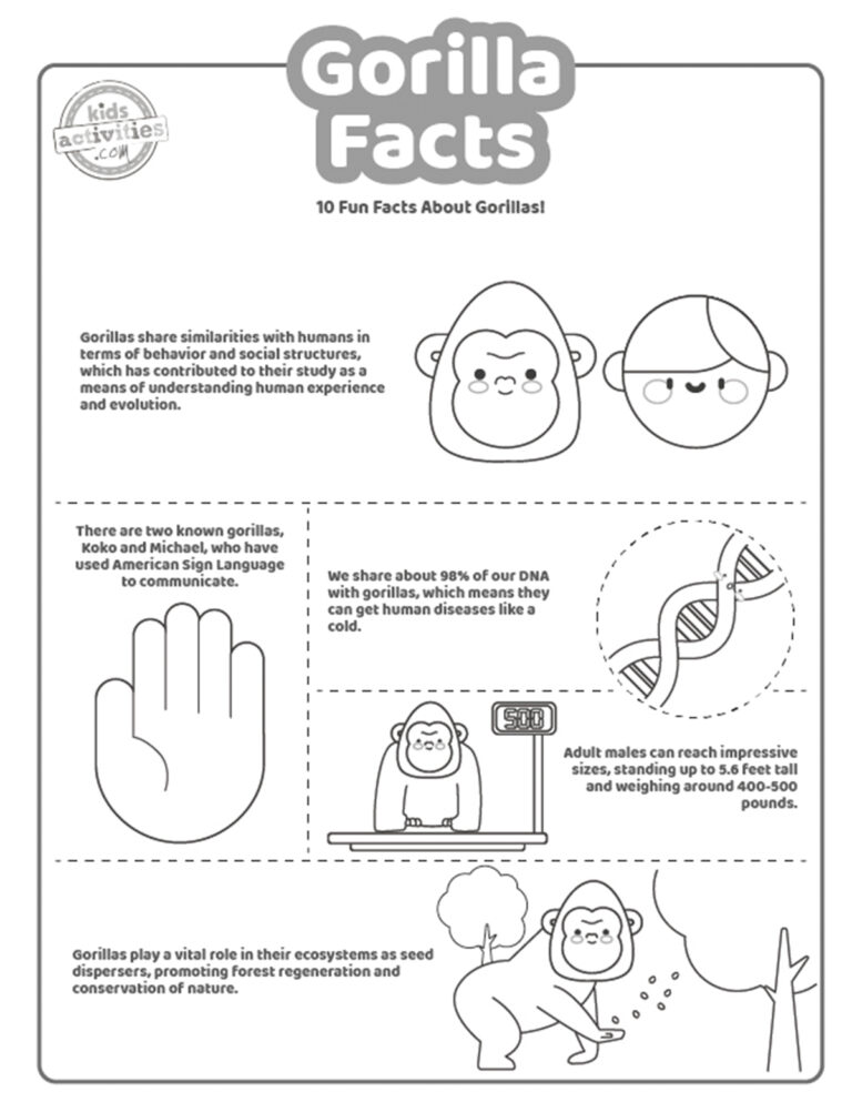 Interesting Gorilla Facts for Kids to Print & Play | Kids Activities Blog