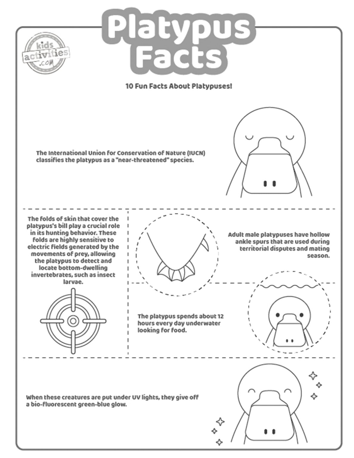 Platypus Facts For Cool Kids | Kids Activities Blog