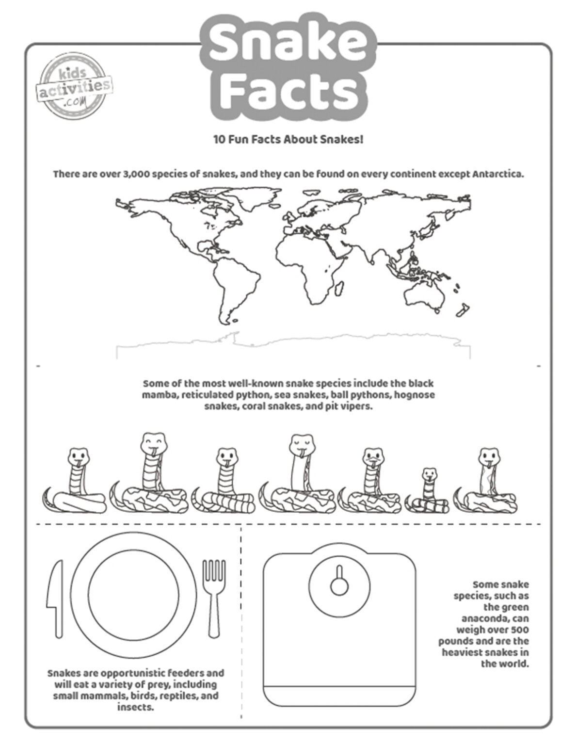 Hiss-terical Snake Facts For Kids of All Ages | Kids Activities Blog