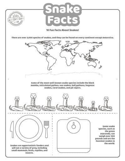 Hiss-terical Snake Facts For Kids of All Ages | Kids Activities Blog