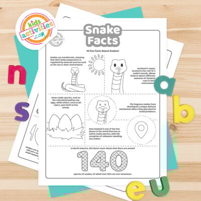 Hiss-terical Snake Facts For Kids of All Ages | Kids Activities Blog