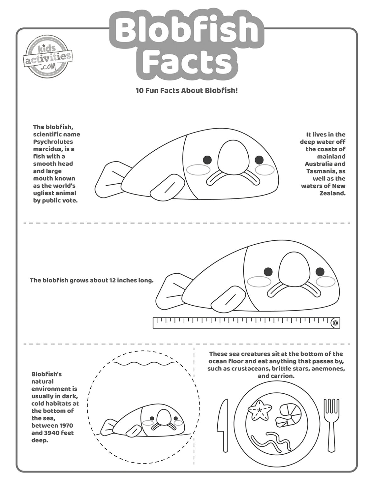 Blobfish Facts That Are Incredibly Fun | Kids Activities Blog