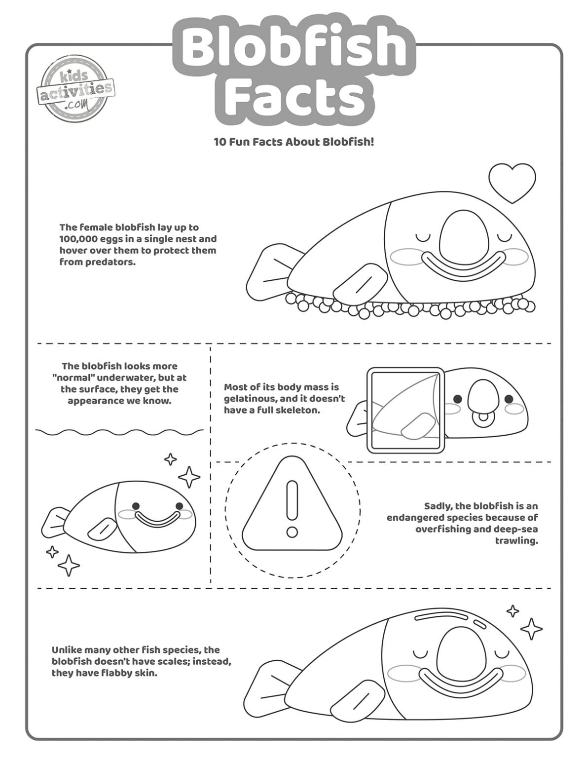 Blobfish Facts That Are Incredibly Fun | Kids Activities Blog