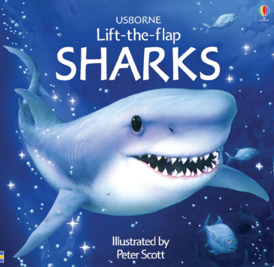 19 Shark Week Books for Kids | Kids Activities Blog