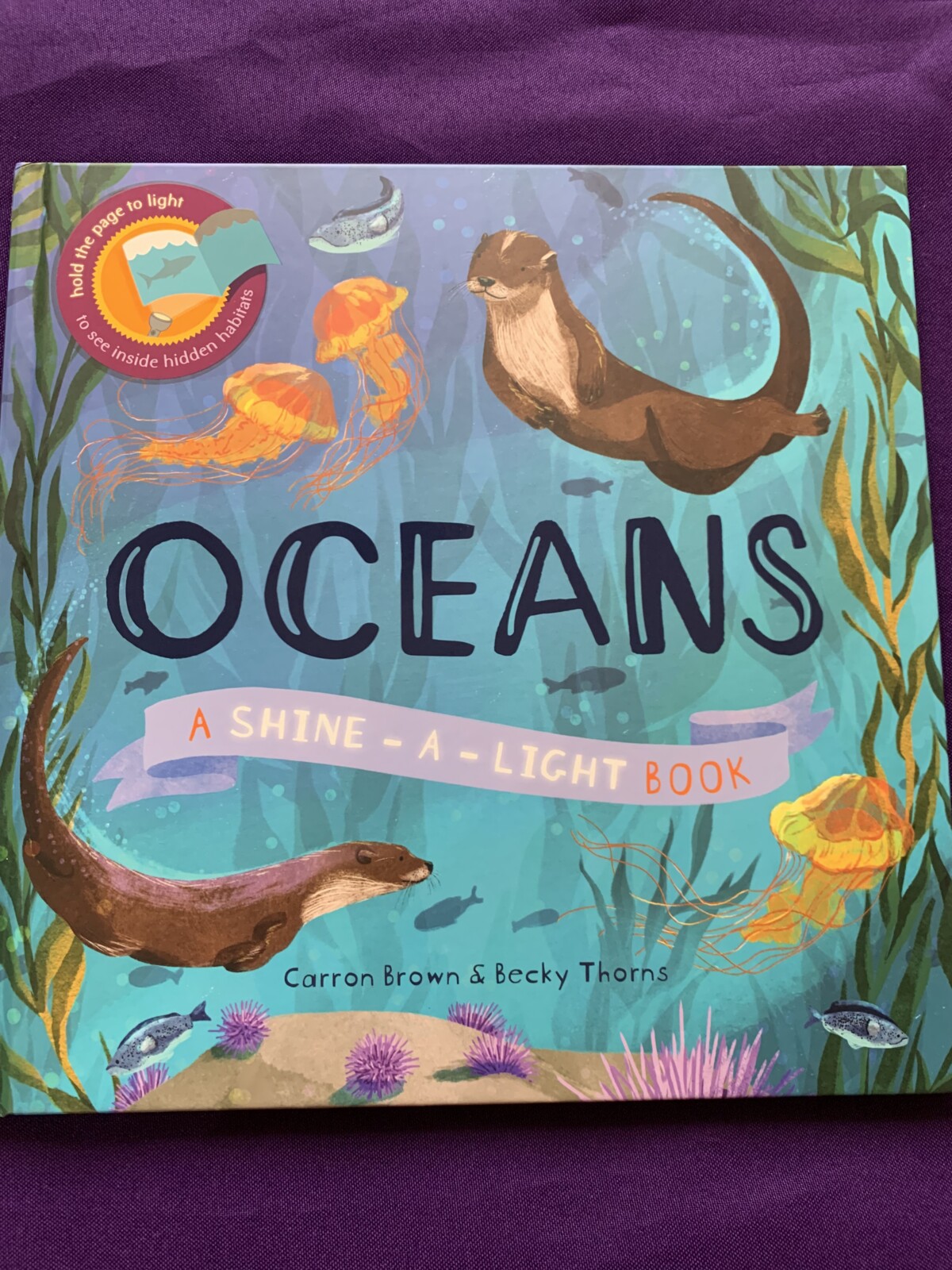 29 Ocean Books for Kids Kids Activities Blog