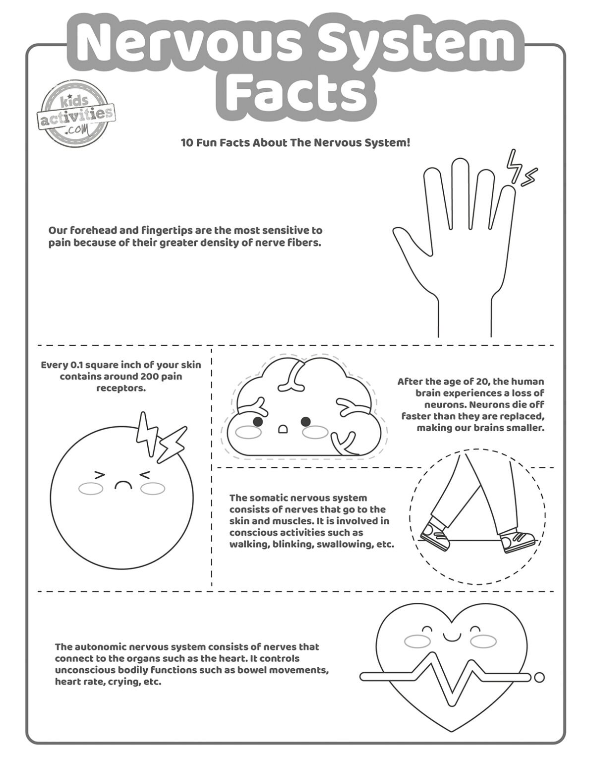 Fun Facts About The Nervous System for Kids | Kids Activities Blog