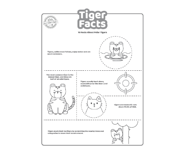 Fun Facts About Tigers for Kids to Print and Learn | Kids Activities Blog