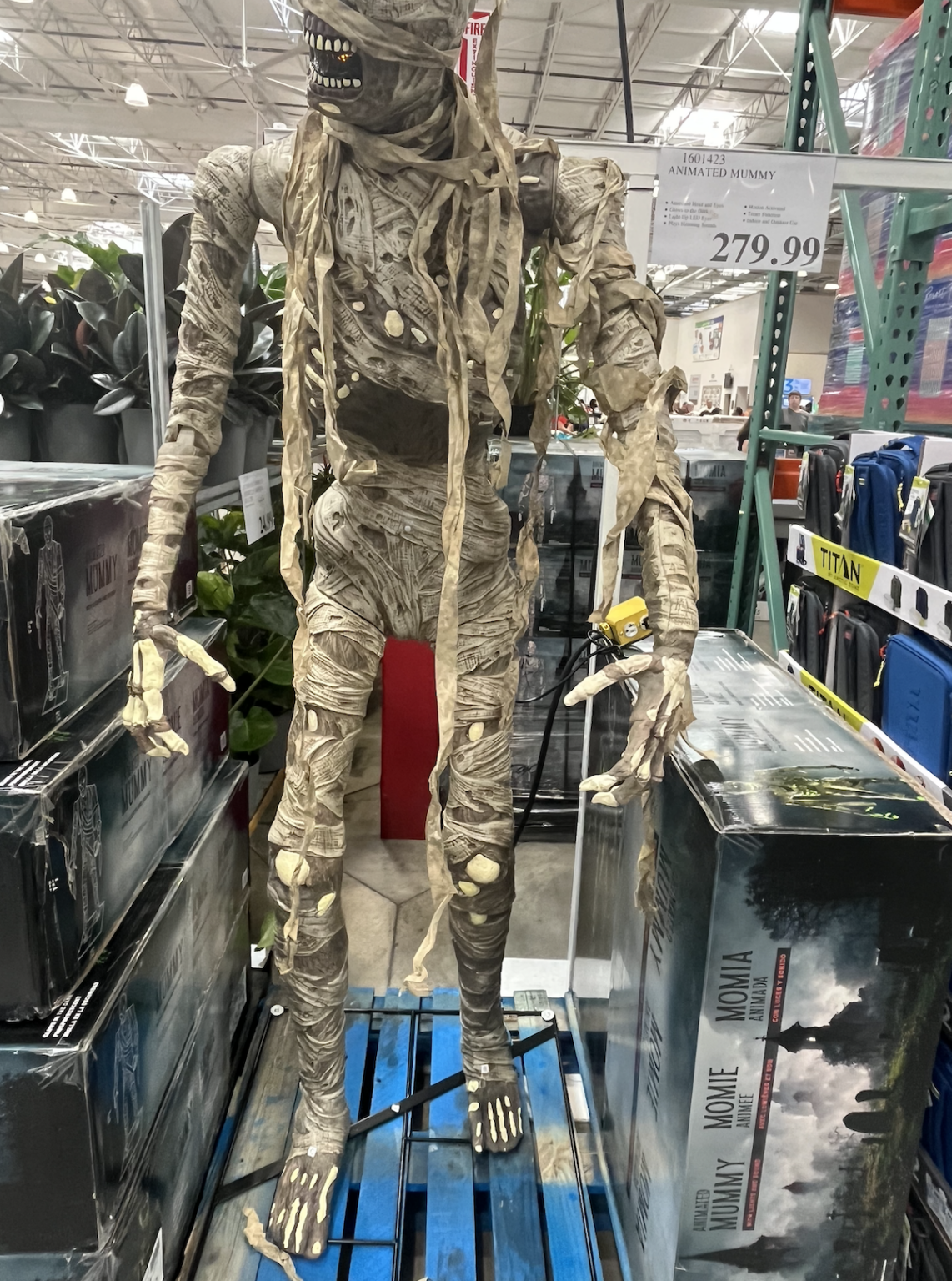 Costco is Selling A Life Size Animated Mummy Just in Time for Halloween ...