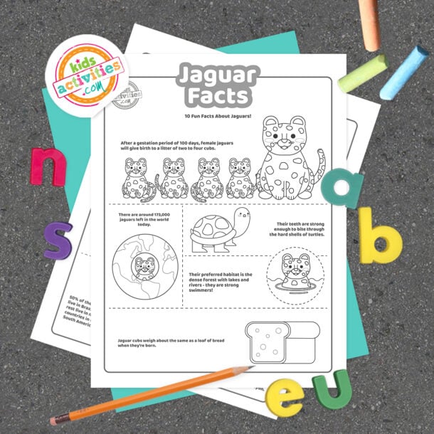 Fun Jaguar Facts for Kids: Print & Play Kids Activities Blog